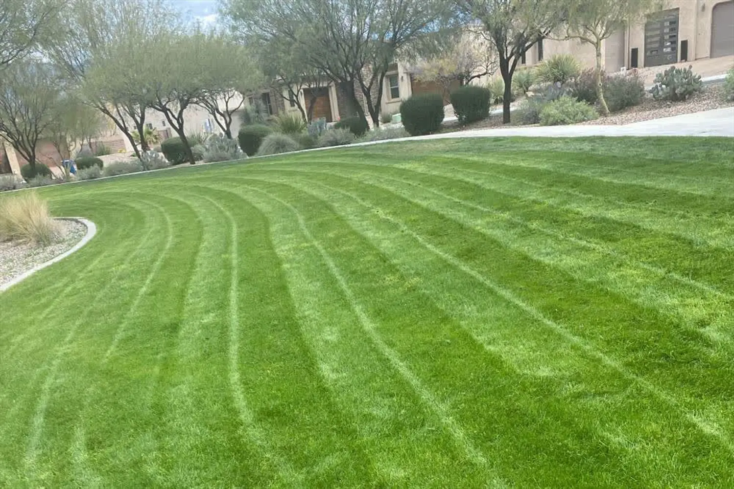 Complete Lawn Care Schedule for Every Season - Smart Garden Experts